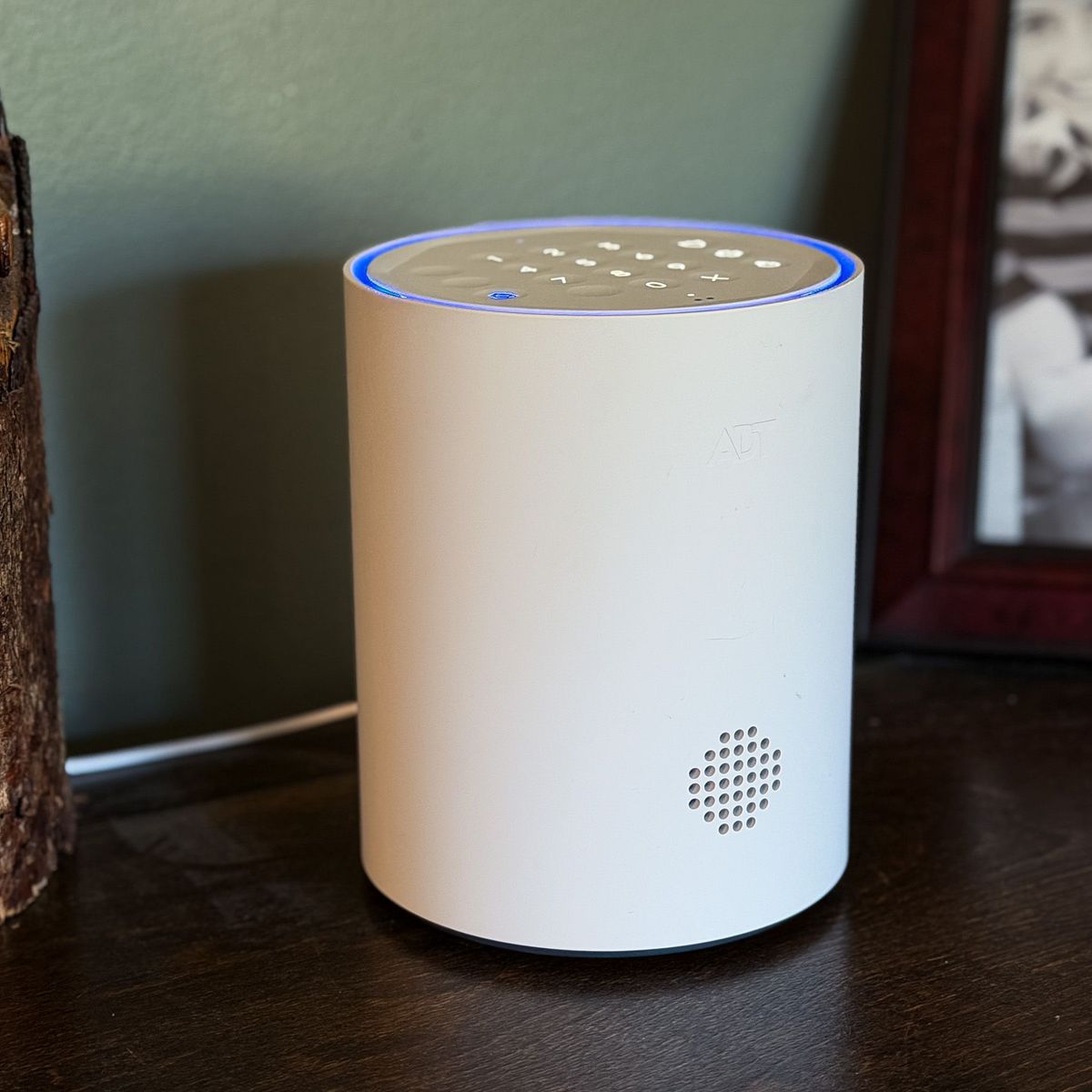 ADT Plus Brings Hands-Free Security with Google Integration | The Tech Buzz