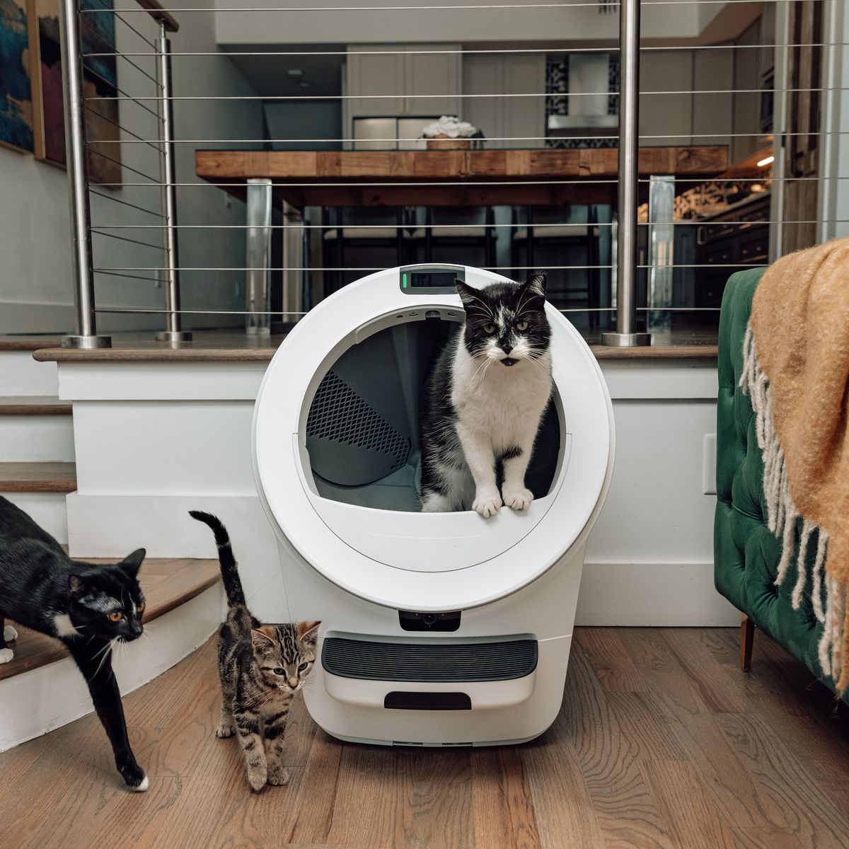 Whisker's $899 Litter-Robot Uses AI to Watch Your Cat Poop | The Tech Buzz