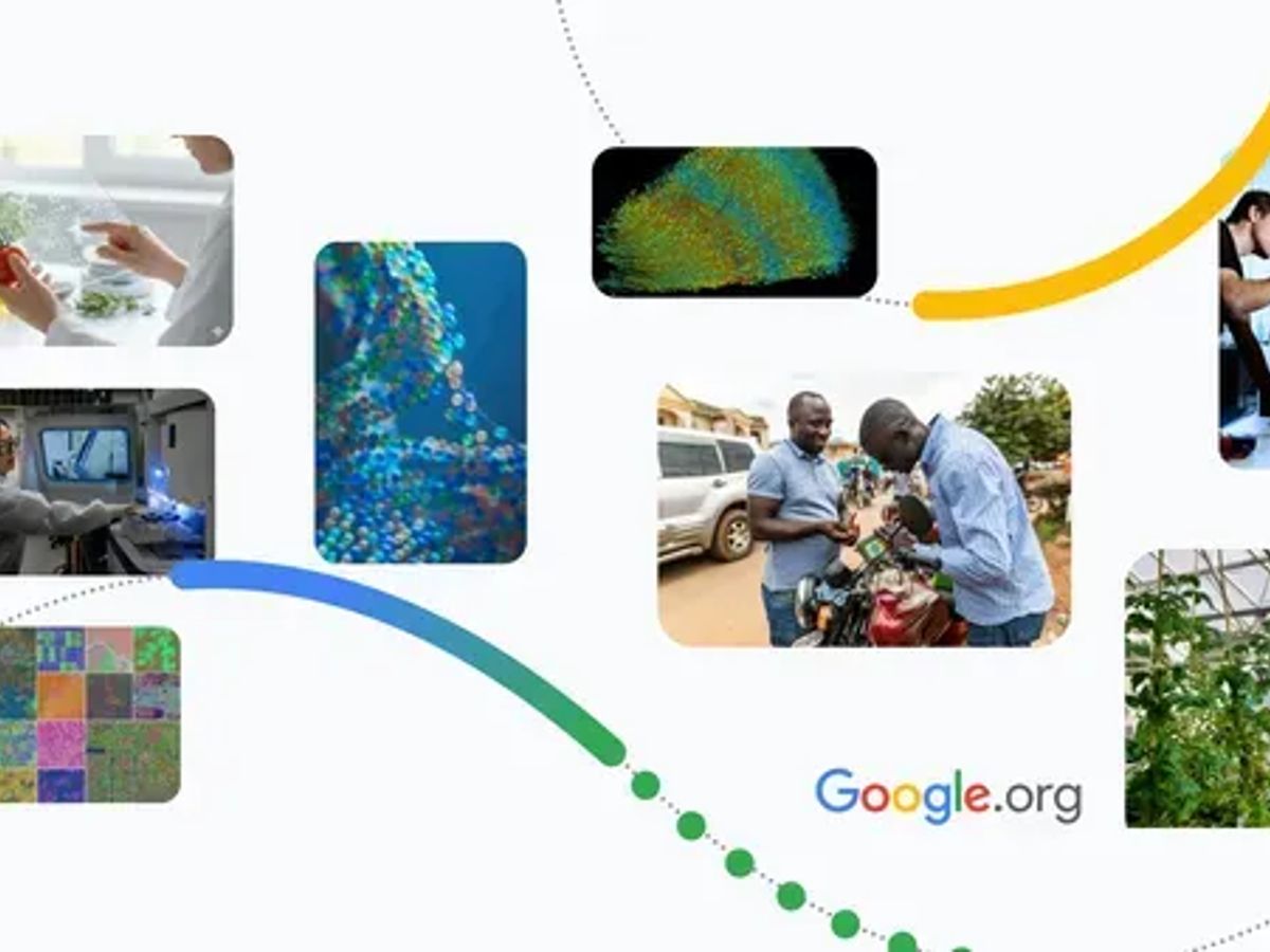 Google.org Deploys $20M AI Fund Across 12 Scientific Breakthroughs ...